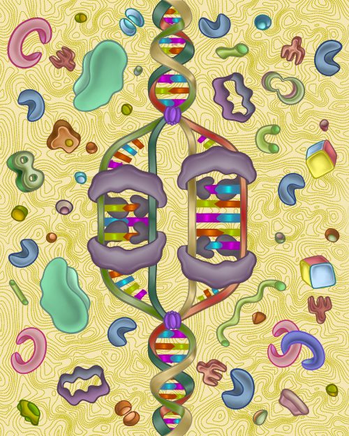 SciArt profile: Sonhita Chakraborty - the Node