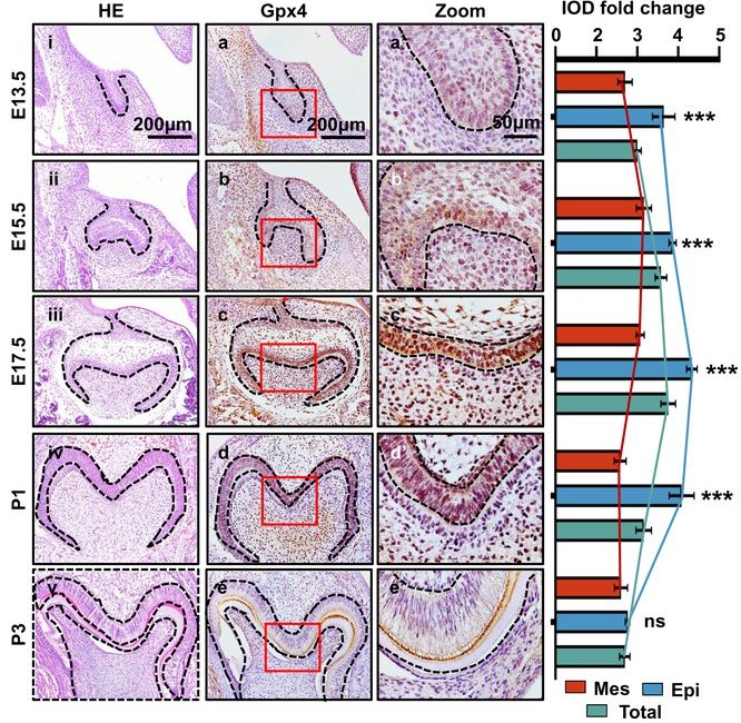 June in preprints - the Node