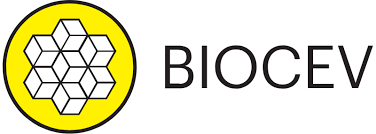 Two Postdoctoral Positions in Developmental and Cancer Biology - BIOCEV ...
