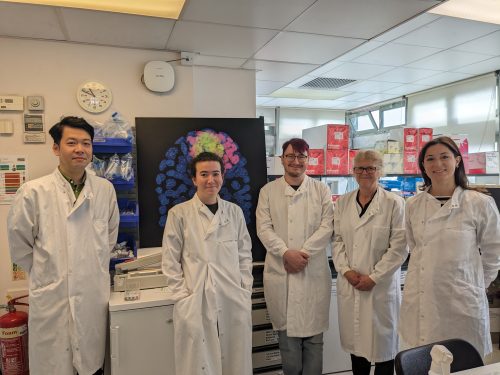 Lab meeting with the Nichols Lab - the Node