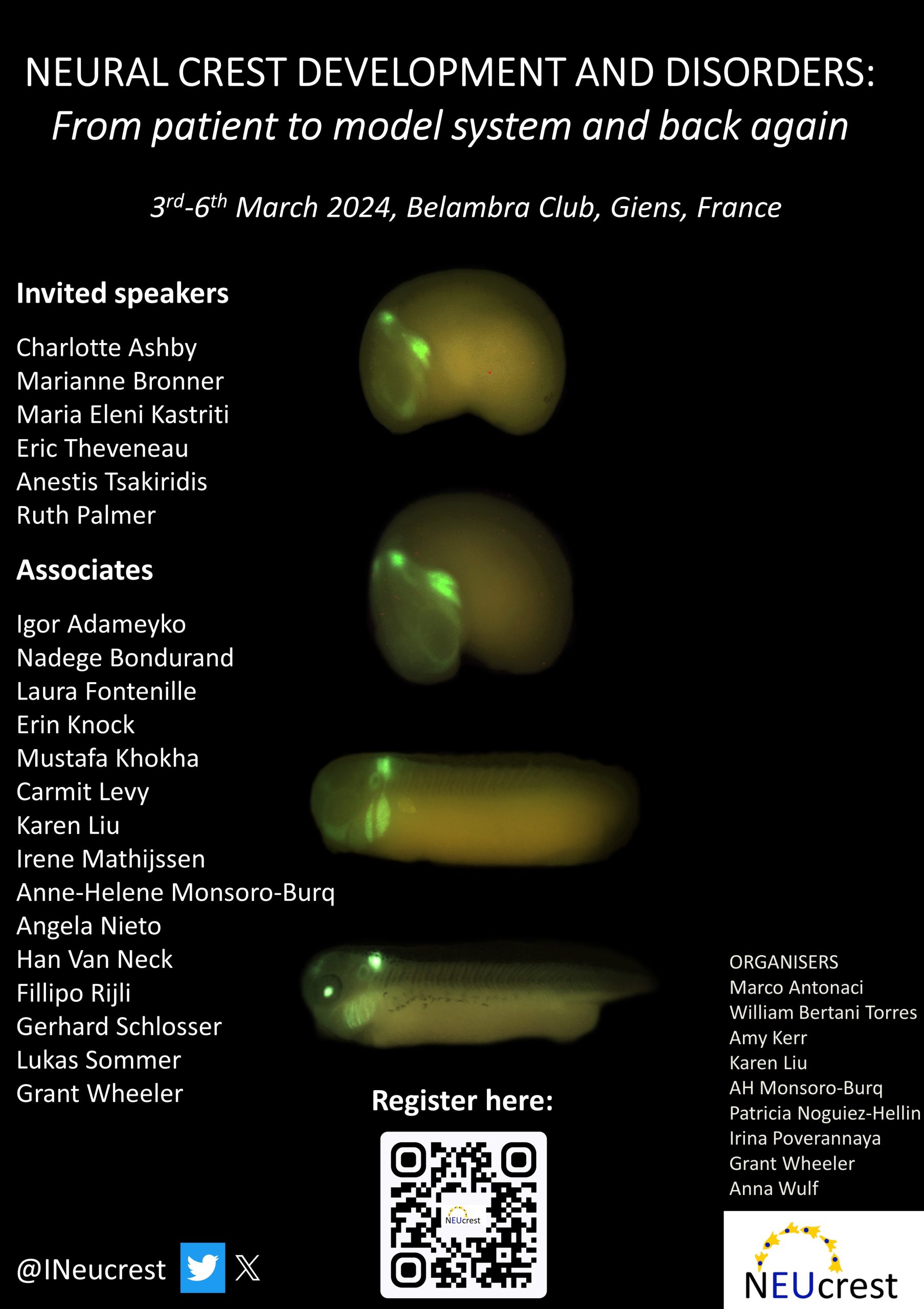 Conference Alert! The Neural Crest: From Patient to Model System and ...