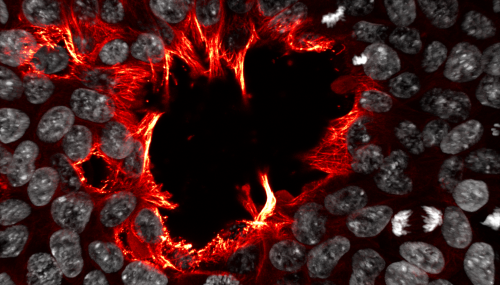 The Maw at Etna — featured image from the Node-BSDB virtual art ...