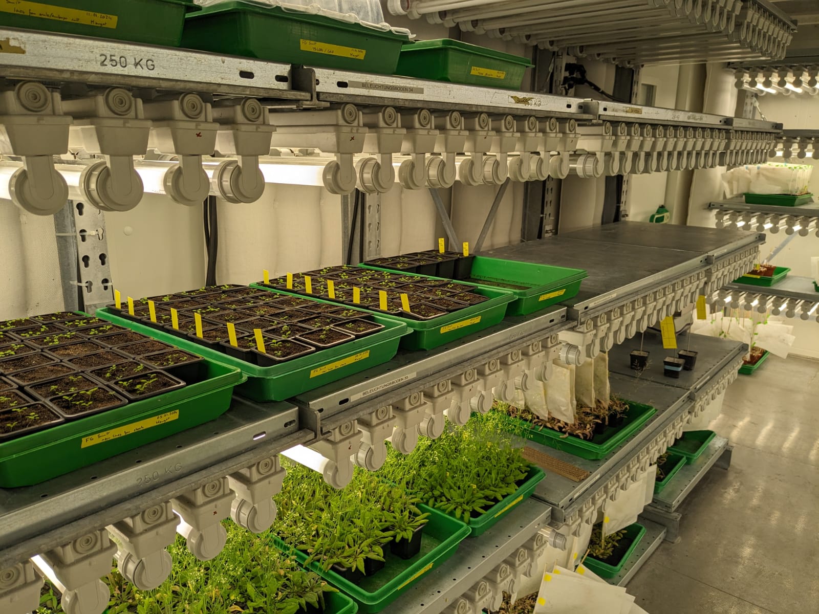 New PI diaries: Setting, meeting and adjusting my expectations - the Node