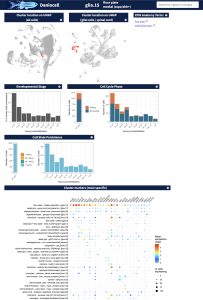 Featured Resource: Daniocell - the Node