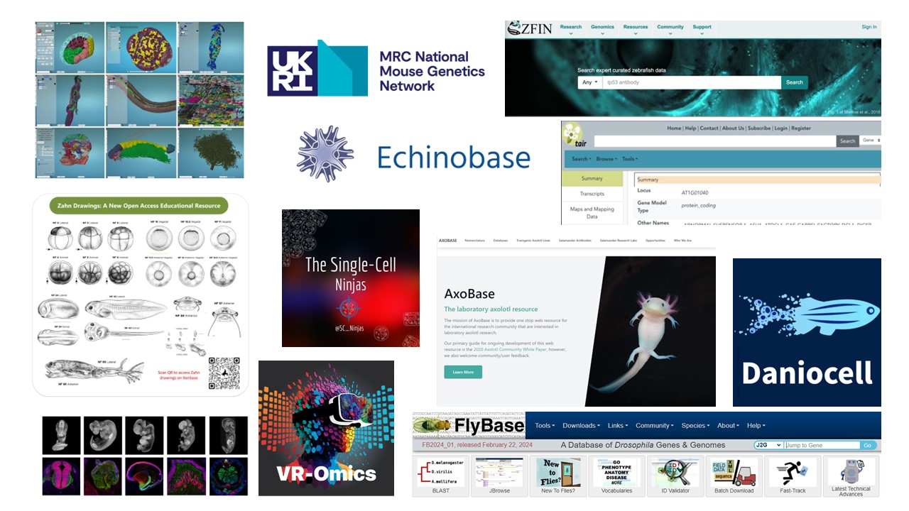 Featured resources - the Node