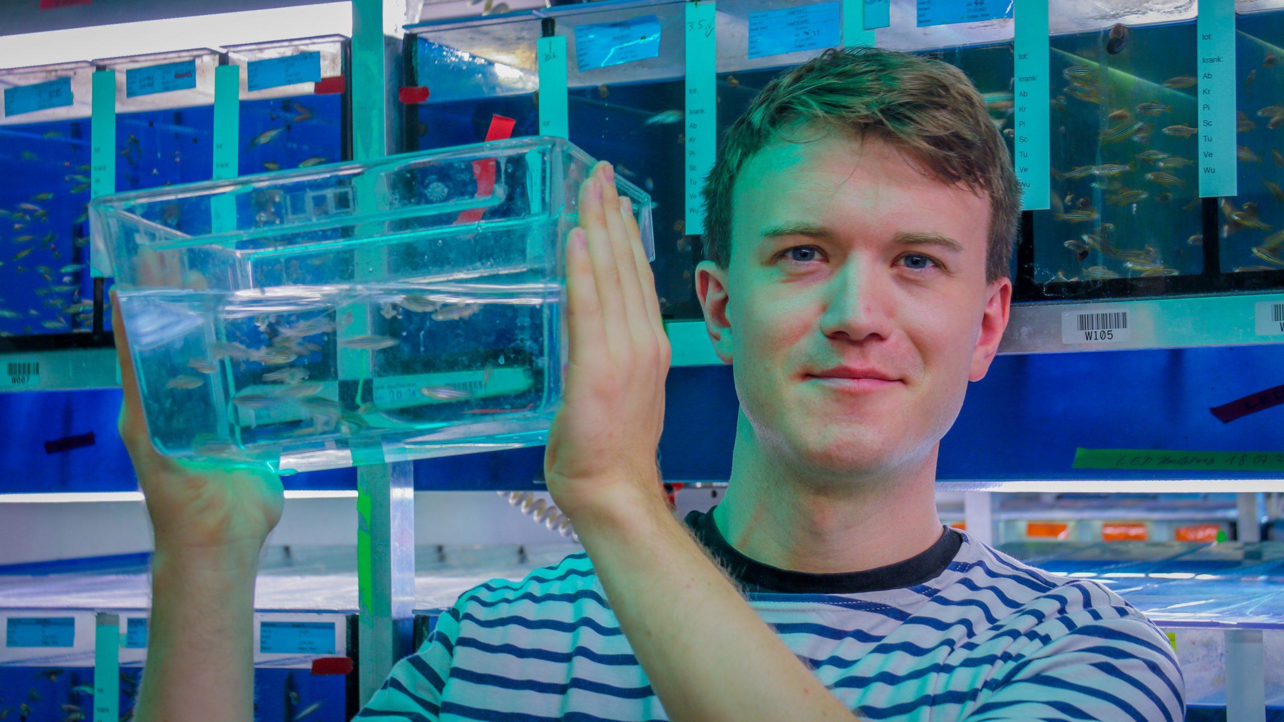 An interview with Marco Podobnik, GfE PhD award winner 2024 - the Node