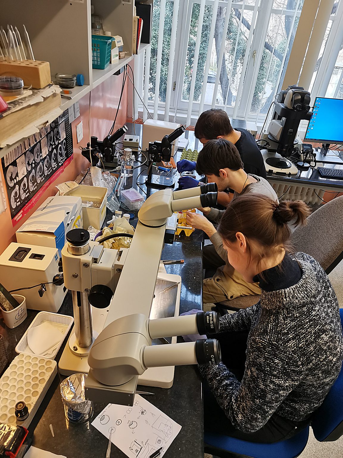 Lab meeting with the Nagy lab - the Node
