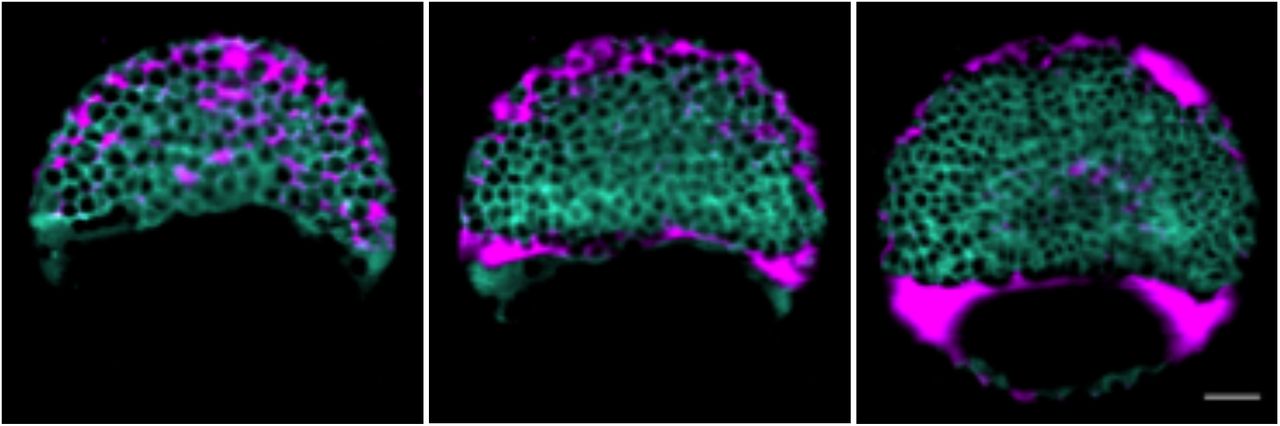 April in preprints - the Node