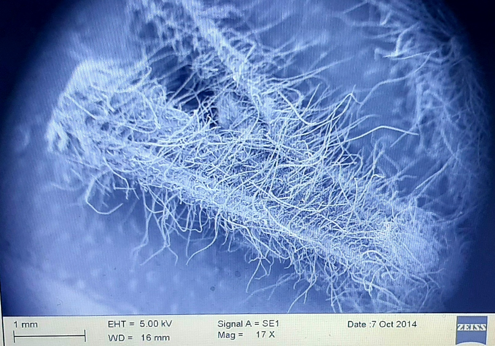 Unravelling plant surface appendages - the Node