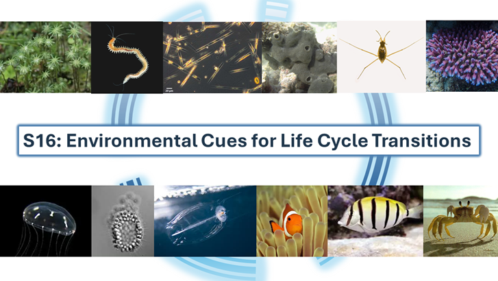 “Environmental Cues for Life Cycle Transitions” symposium - a ...