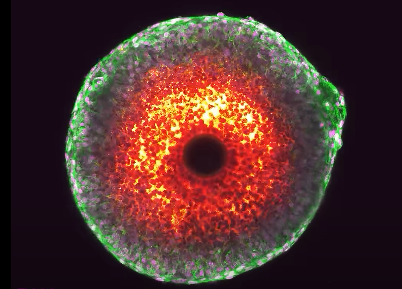 Show and tell - the Node