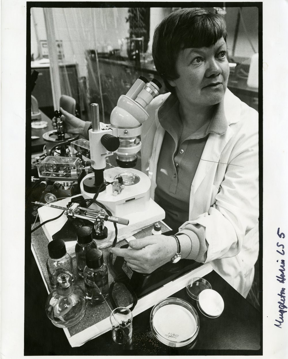 First issues – Audrey across the Atlantic - the Node