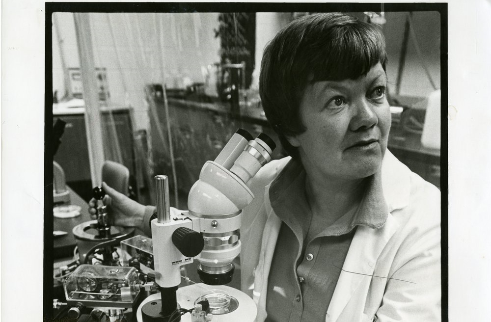 Primeiras edições - Audrey em todo o Atlântico - DigiteNews