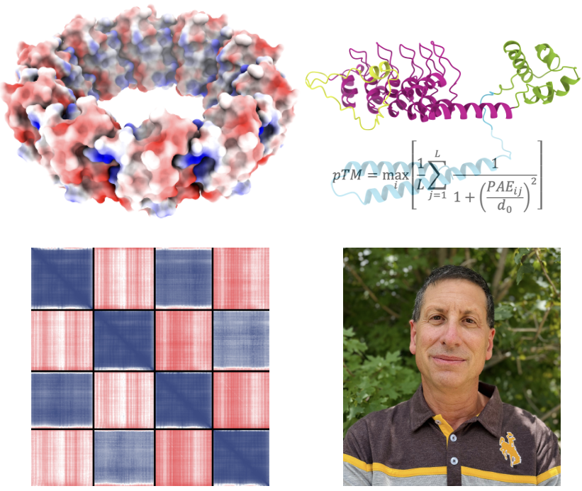 AlphaFold protein interaction modeling tutorial and workshop - the Node